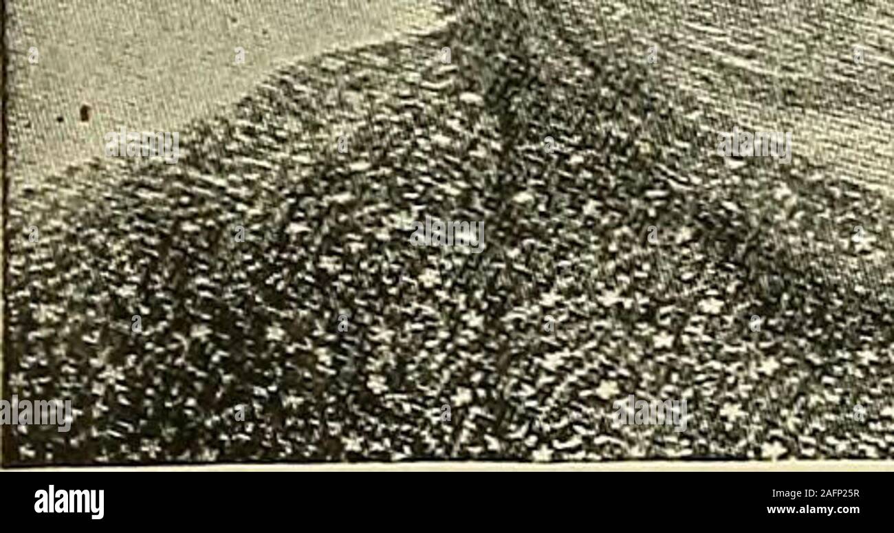 . Internal medicine; a work for the practicing physician on diagnosis ...