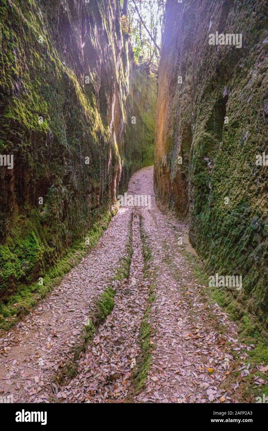 The narrow path excavated in the rock by etruscan civilization named ...