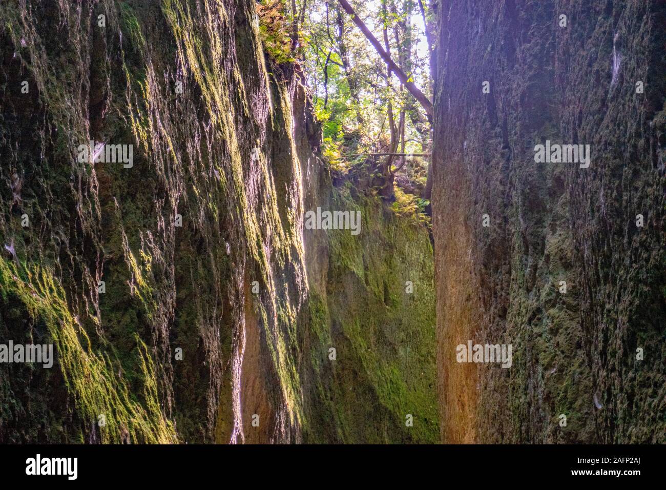 The narrow path excavated in the rock by etruscan civilization named ...