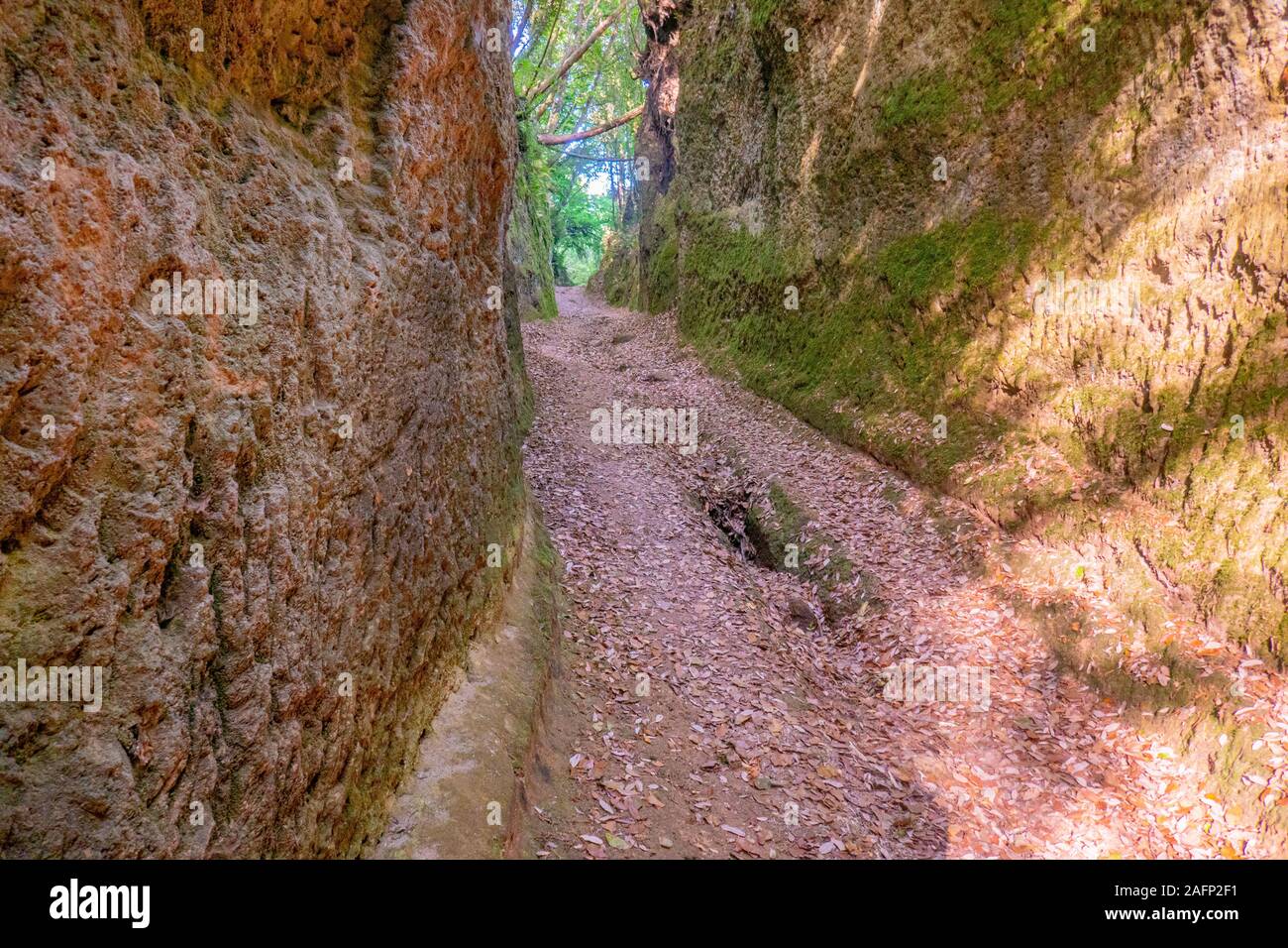 The narrow path excavated in the rock by etruscan civilization named ...
