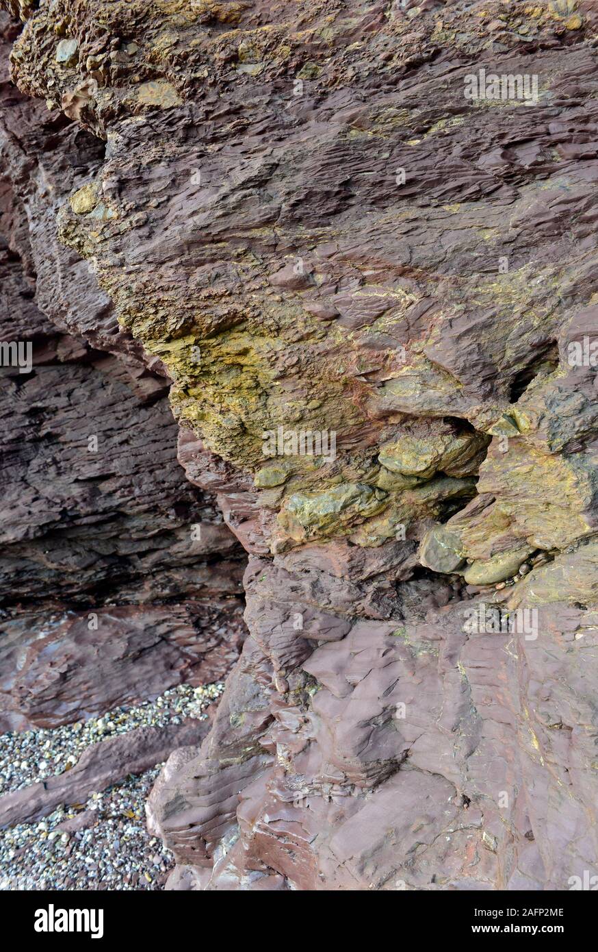 Paignton Geopark High Resolution Stock Photography and Images - Alamy