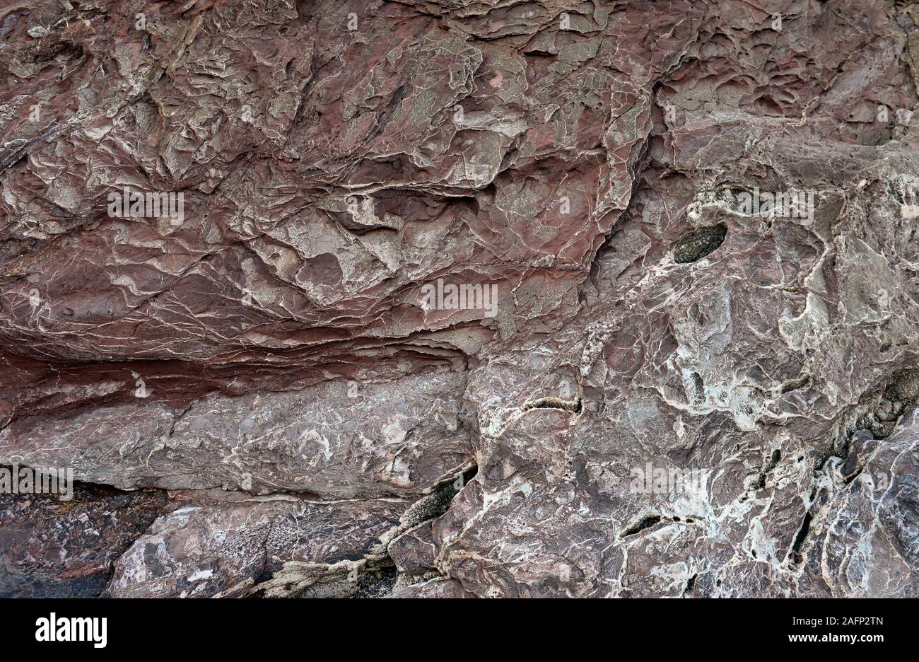 English riviera geopark hi-res stock photography and images - Alamy