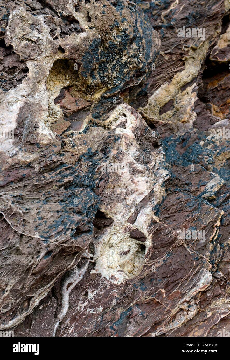 Devonian era rocks at Saltern cove south of Paignton , Devon, UK, in ...