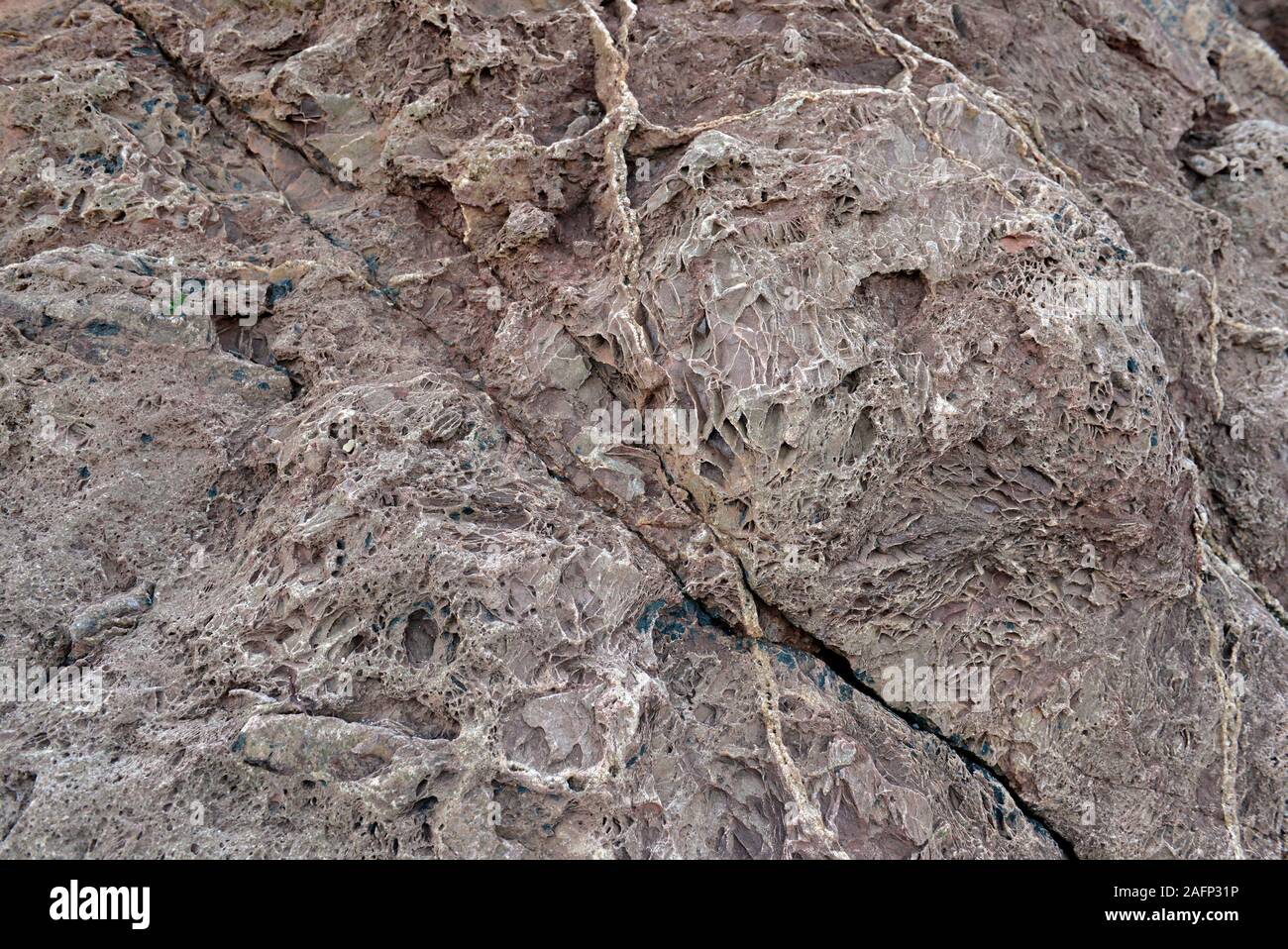 Devonian era rocks at Saltern cove south of Paignton , Devon, UK, in ...