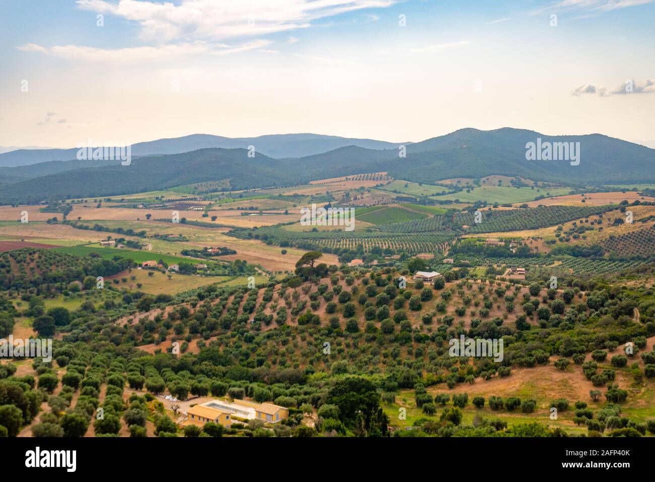 landscape from the hill of Capalbio in Tuscany with blue sky and woods ...