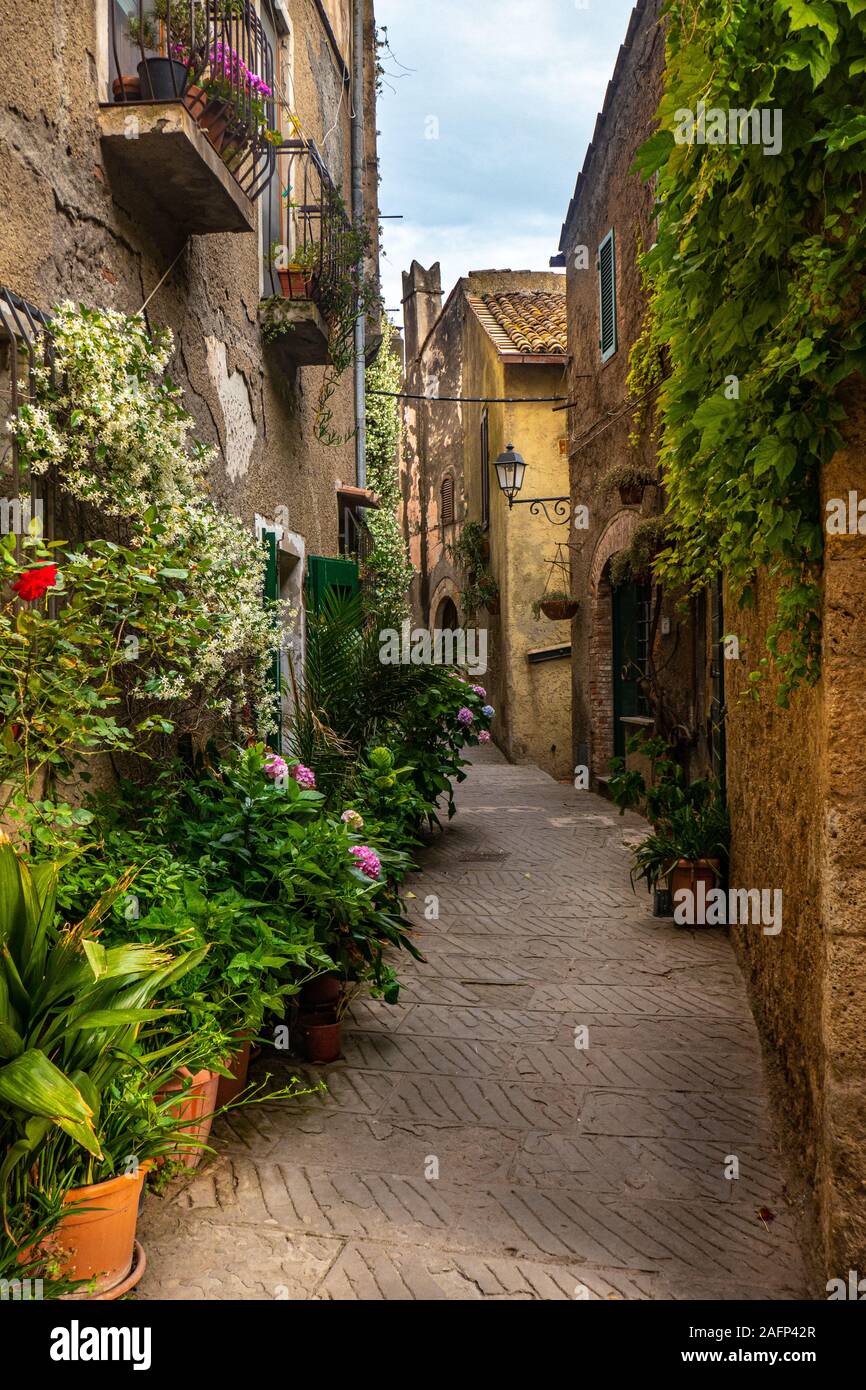 Street of Capalbio in Tuscany Italy with doors and windows Stock Photo ...