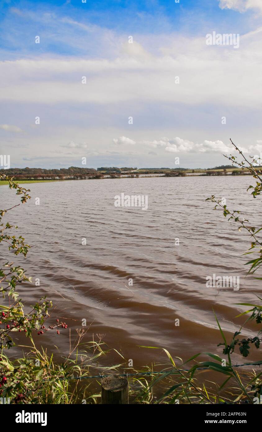 Flooded farm fields due to heavy rainfall and overflowing dykes and ...