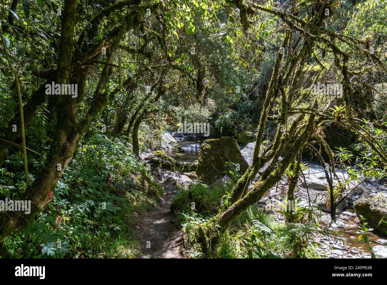 Cantón ruminahui hi-res stock photography and images - Alamy