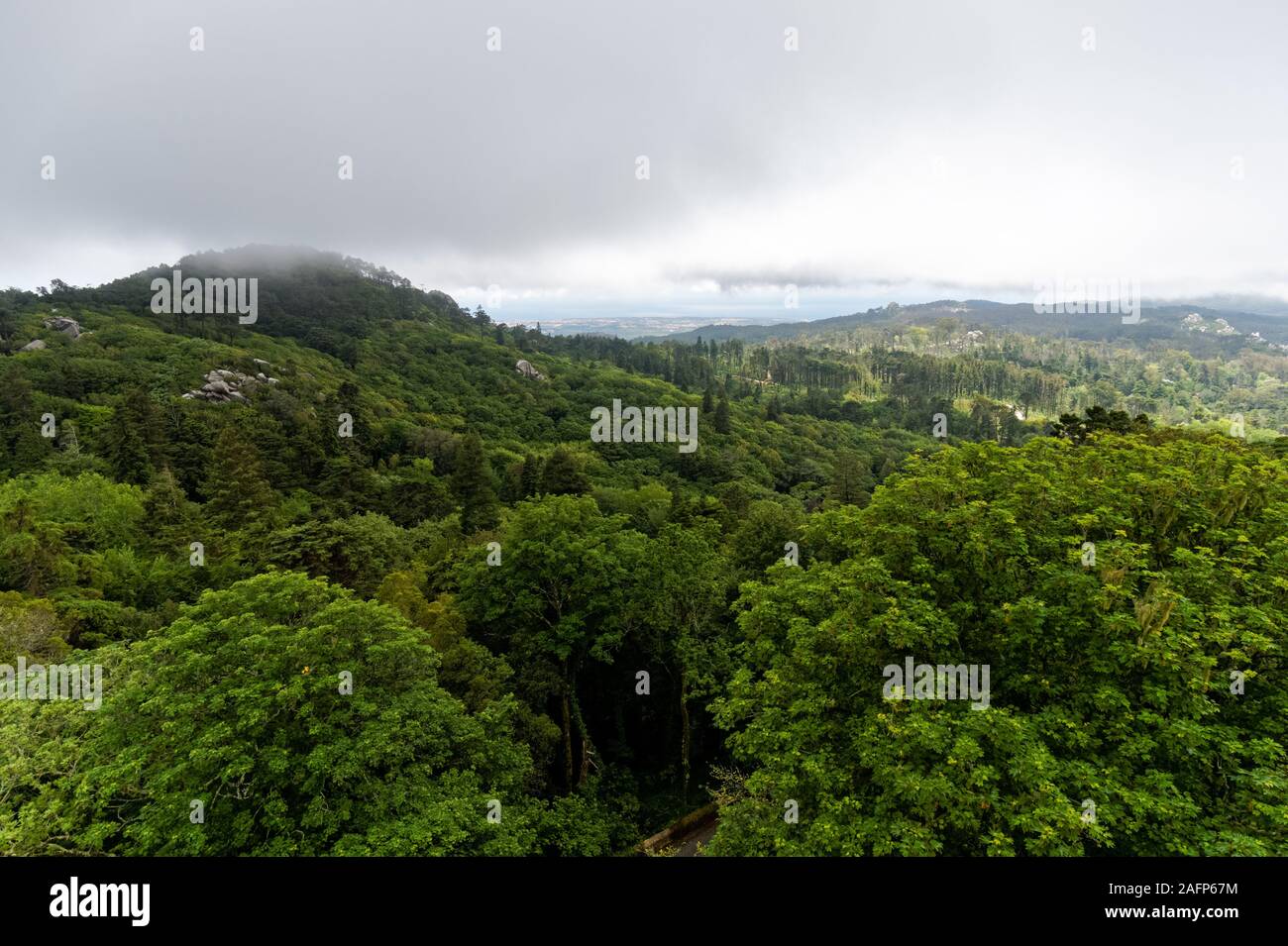 Sintra Mountains at the Sintra-Cascais Natural Park in Sintra, Portugal ...