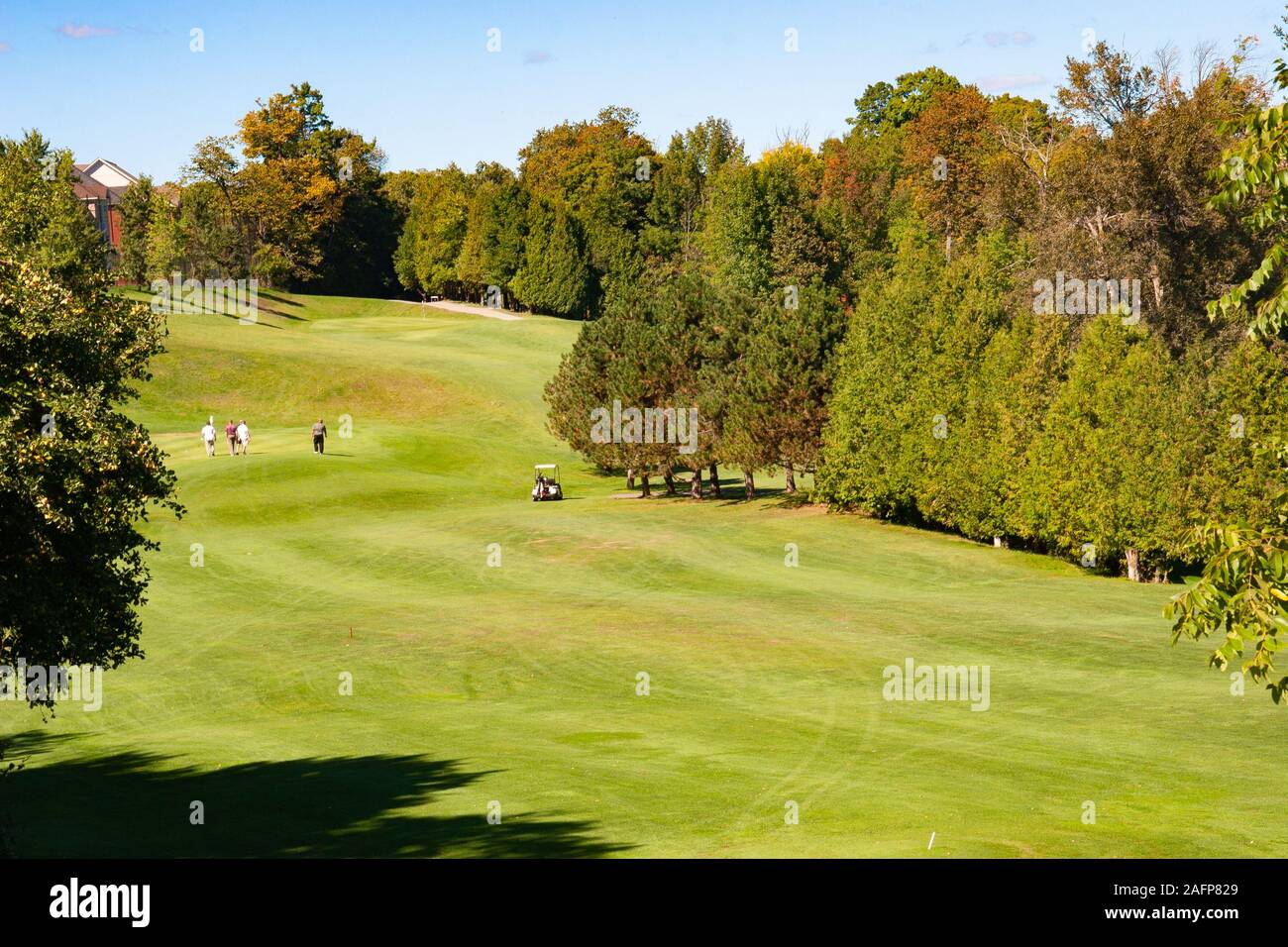 landscape fall foliage at Golf Course Stock Photo - Alamy