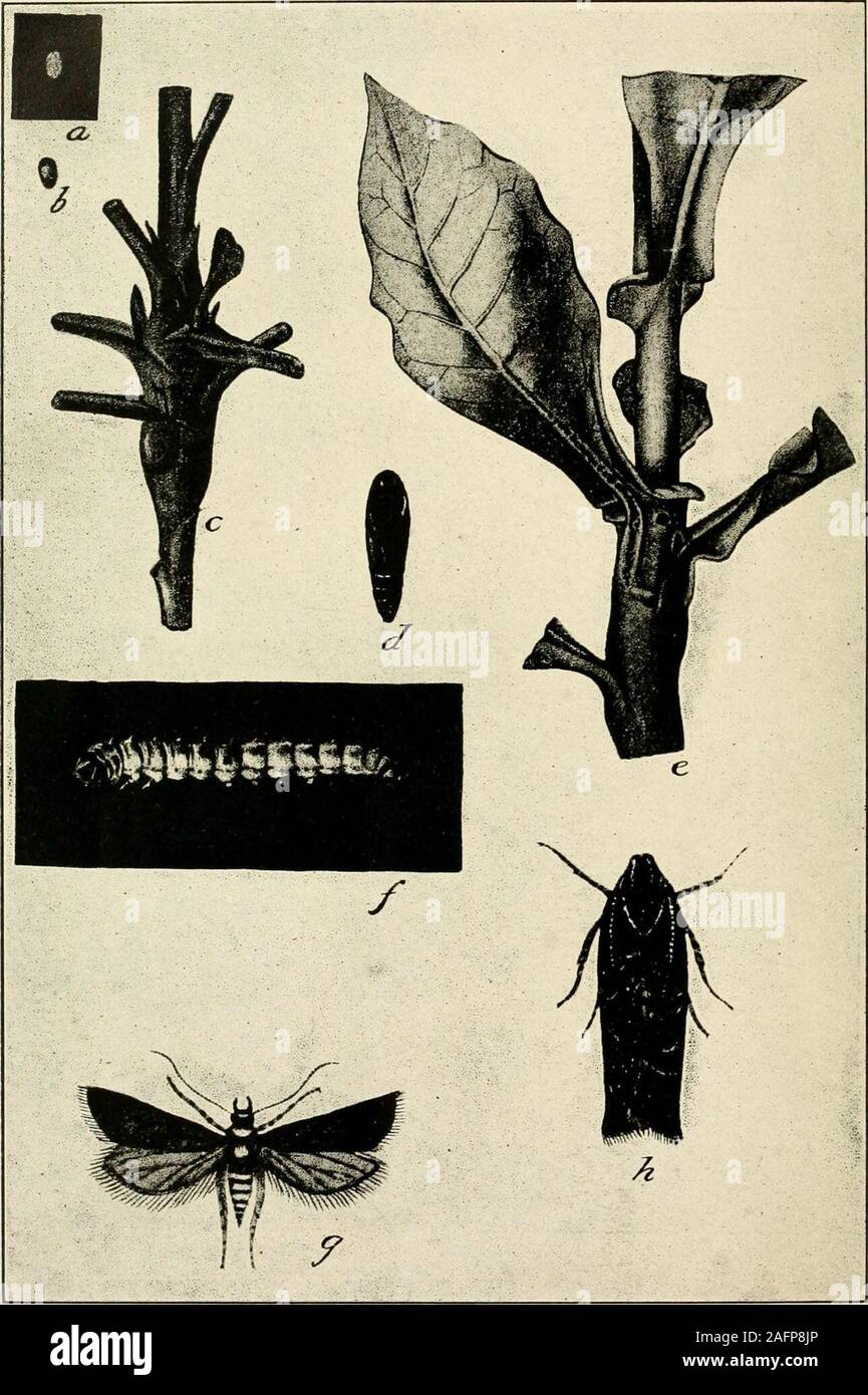 Hug a bug hi-res stock photography and images - Alamy