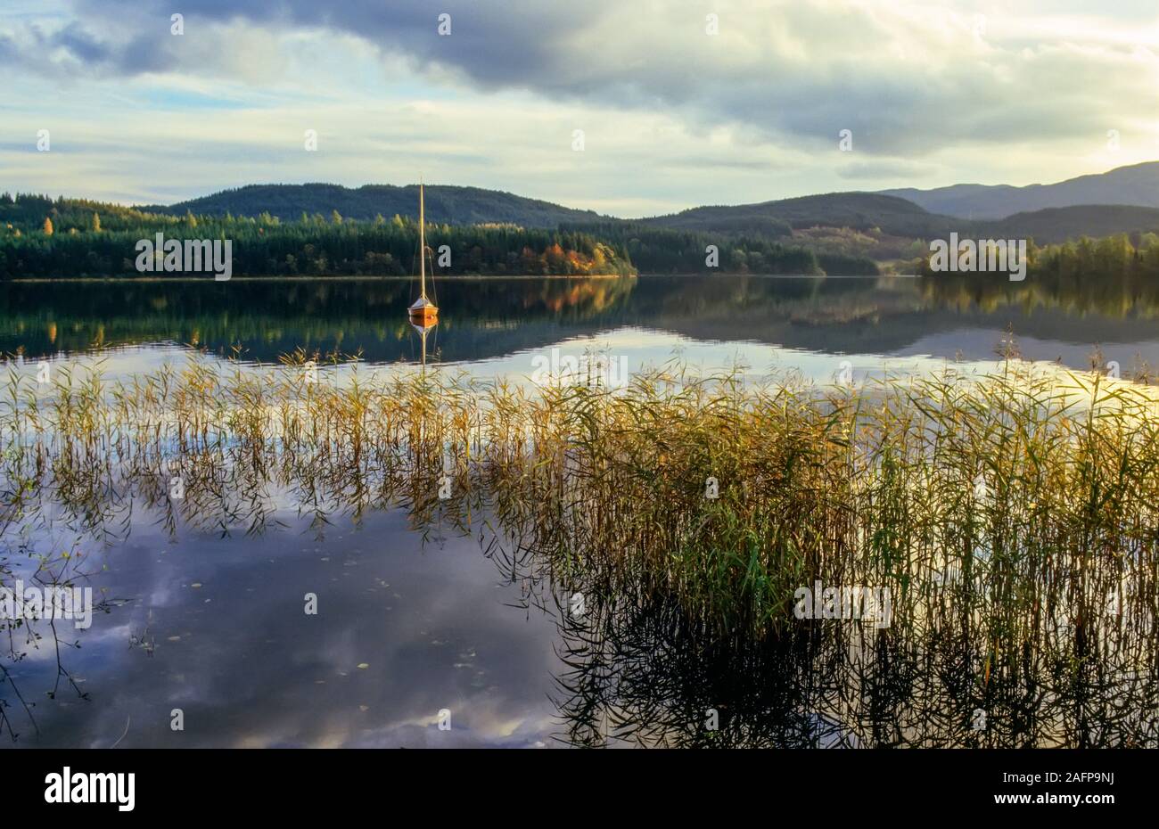 Loch Ard, Loch Lomond and the Trossachs National Park, Stirling Stock ...