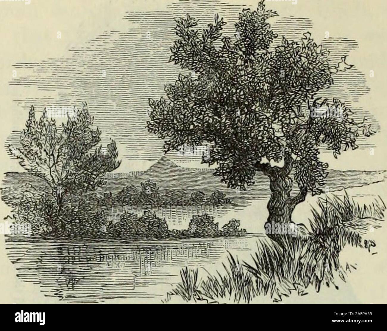 Shear legs hi-res stock photography and images - Alamy