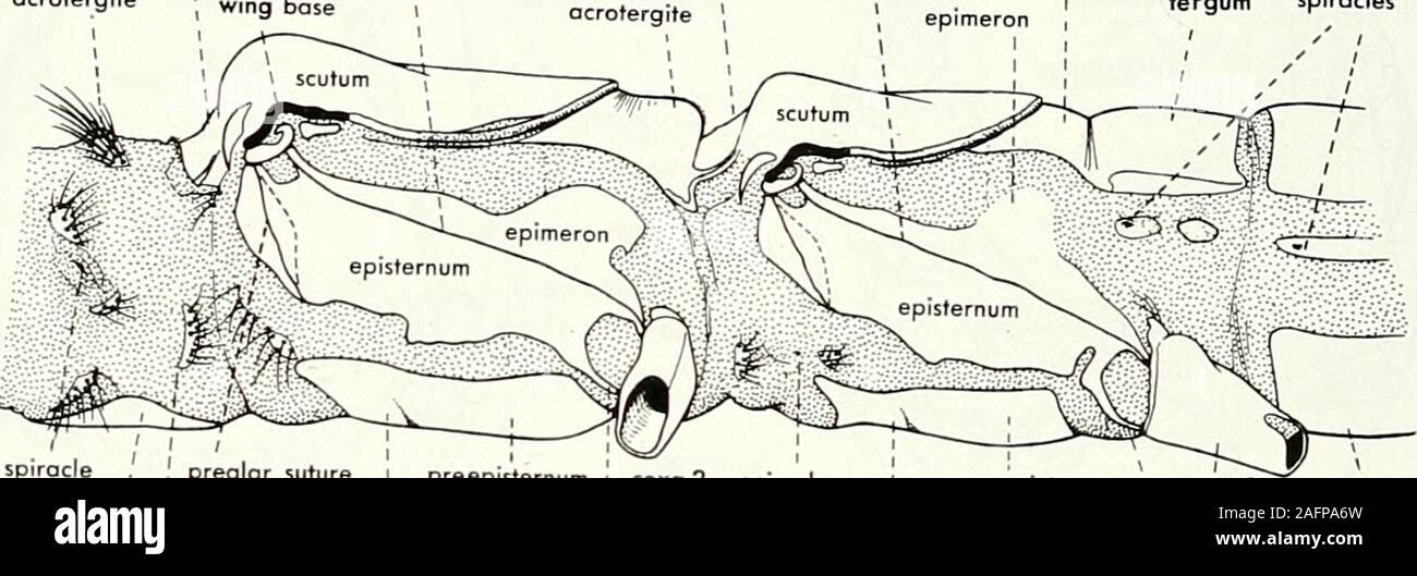 . Occasional papers of the California Academy of Sciences. prealar ...