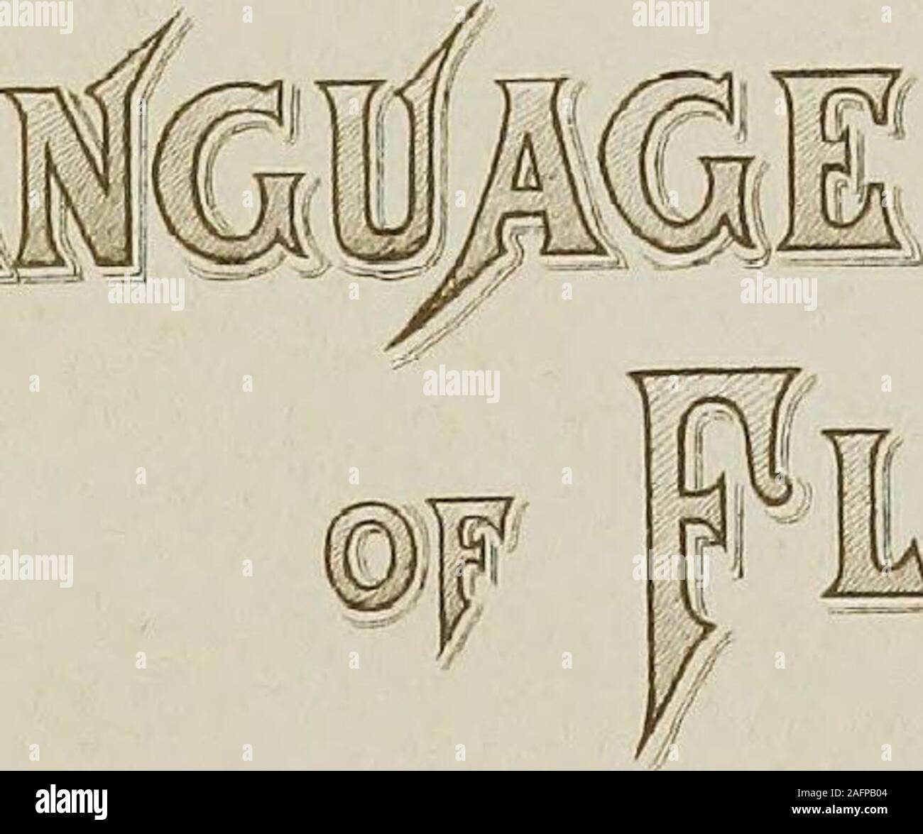 . The Artistic language of flowers. mm Stock Photo - Alamy