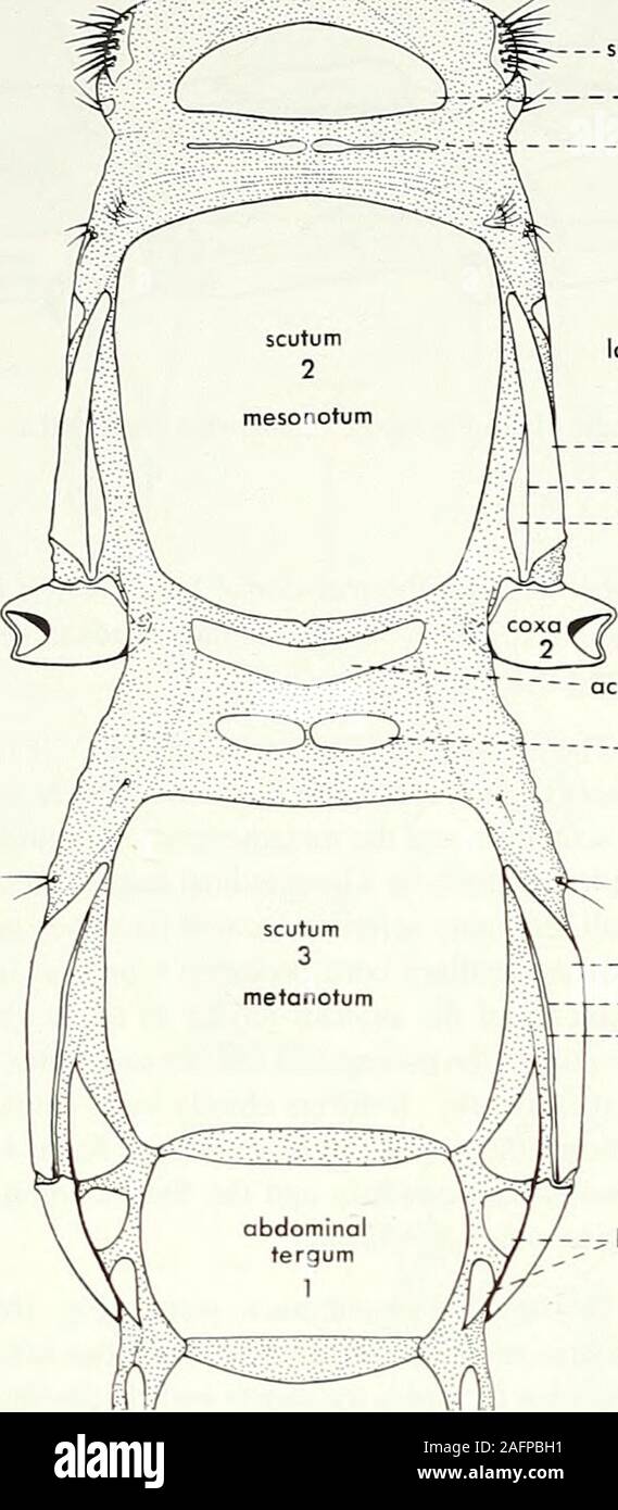 Delim hi-res stock photography and images - Alamy