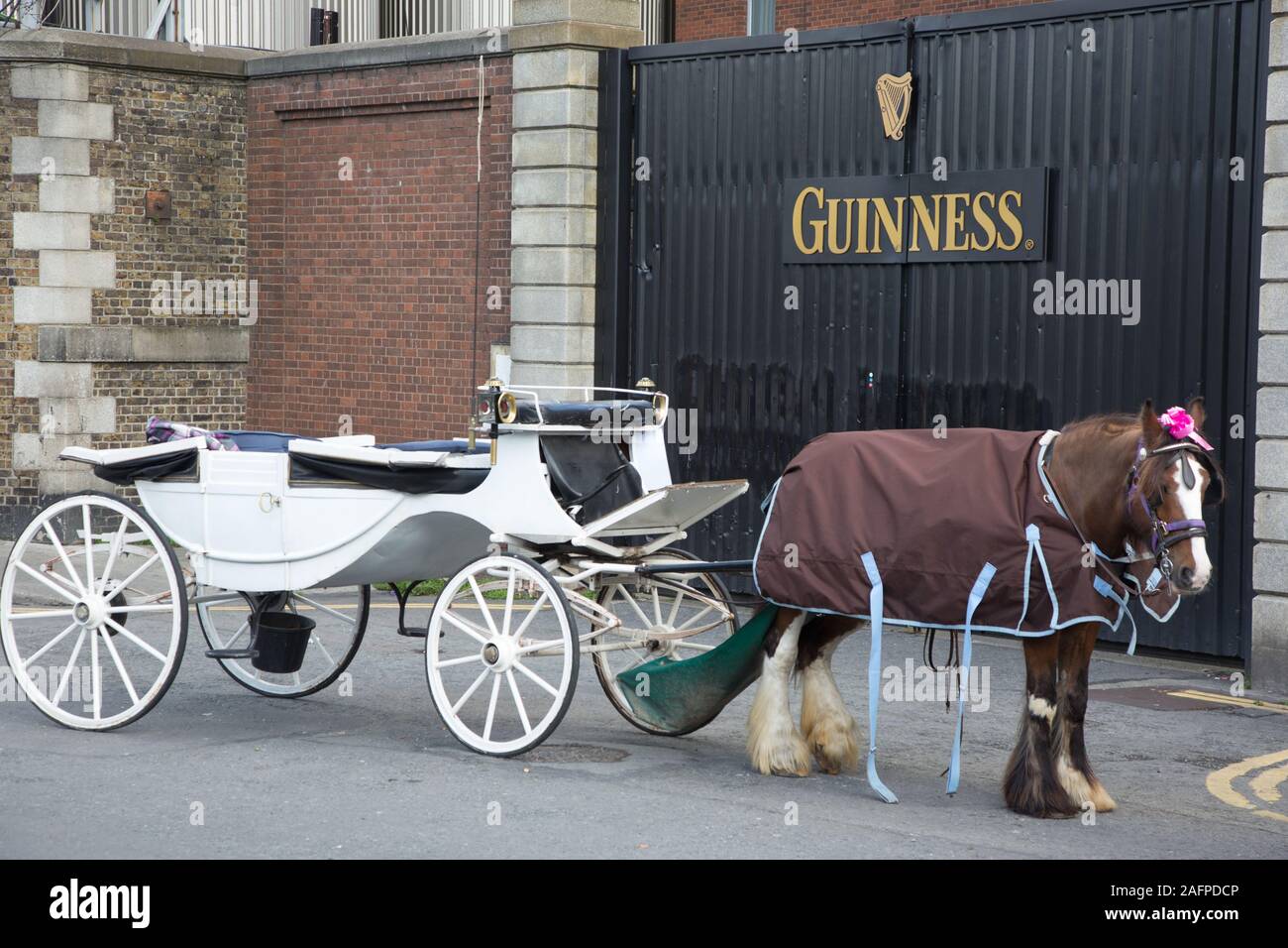 Guiness logo hi-res stock photography and images - Alamy