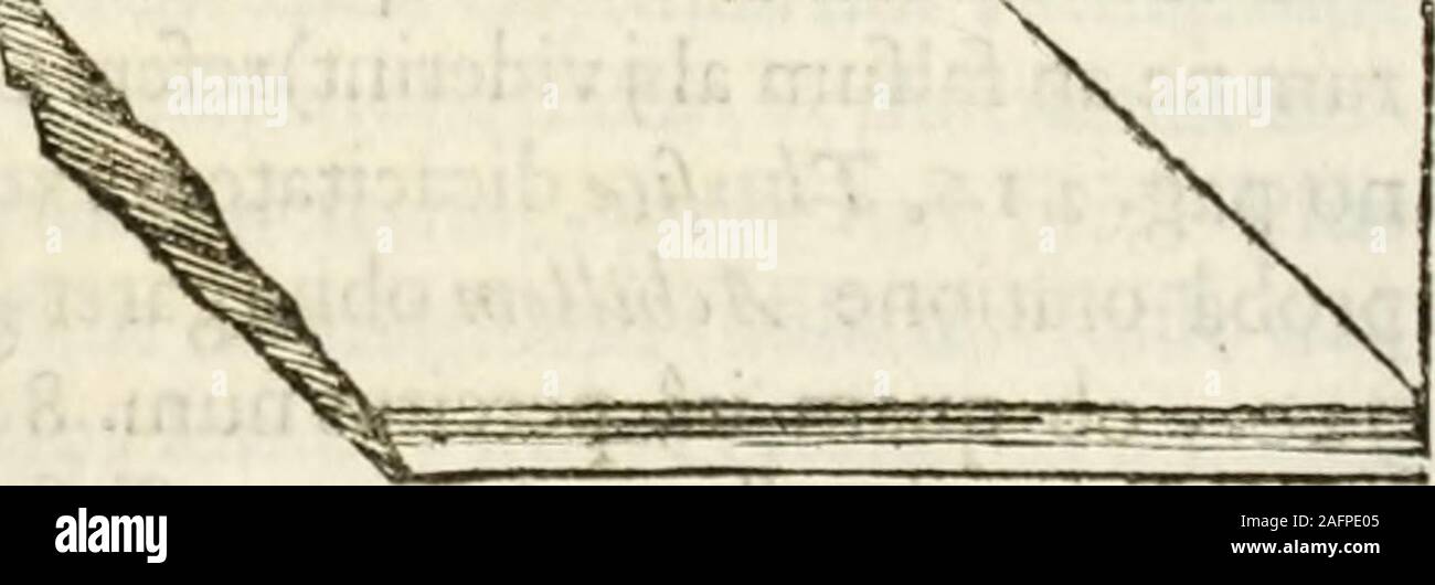 Eum e hi-res stock photography and images - Alamy