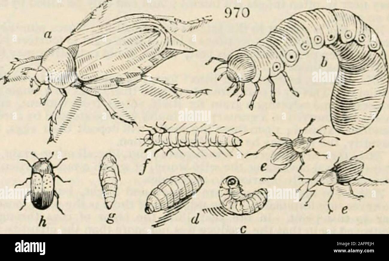 Authenticated transfer hi-res stock photography and images - Alamy