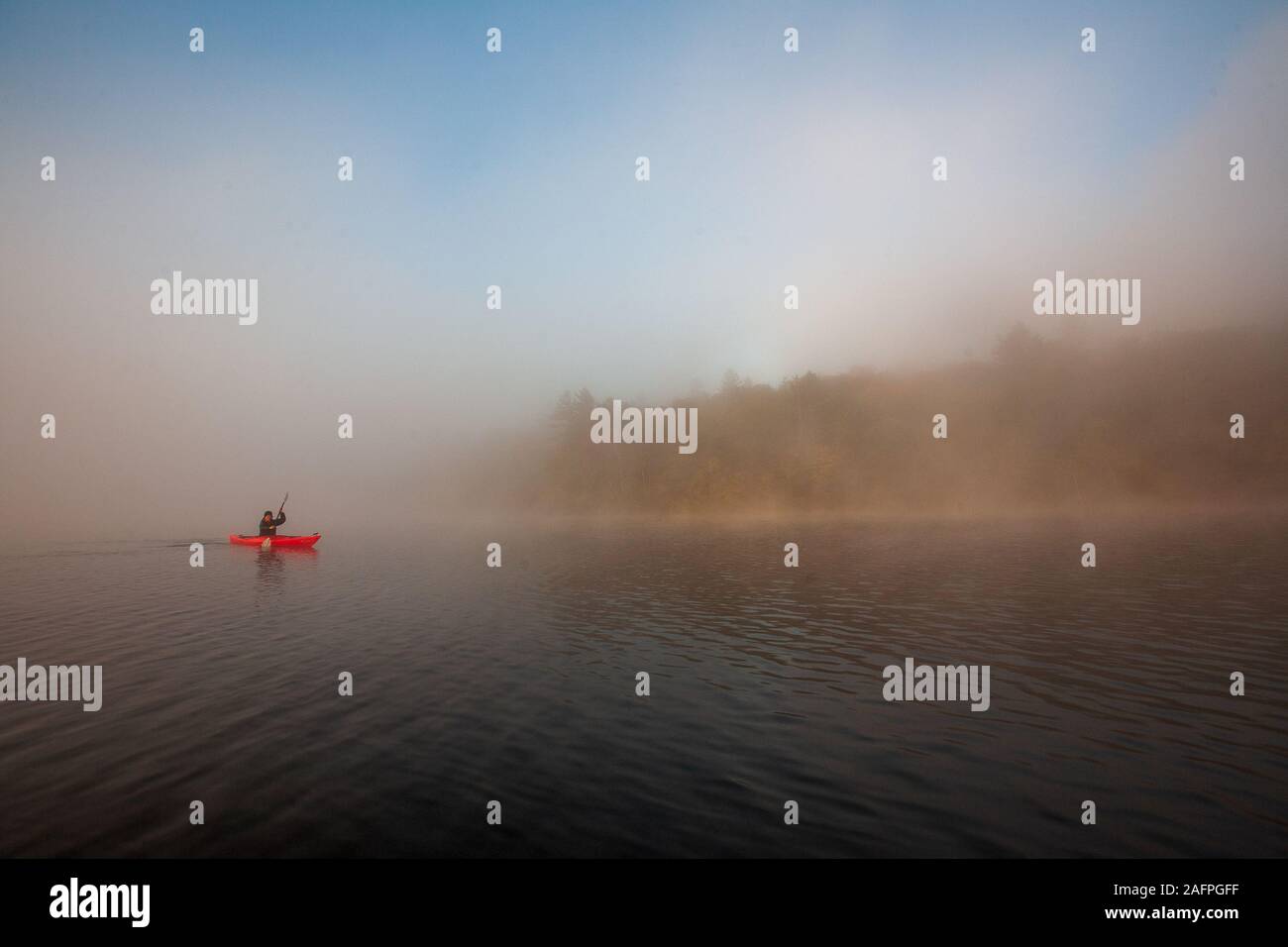 Misty pond hi-res stock photography and images - Alamy
