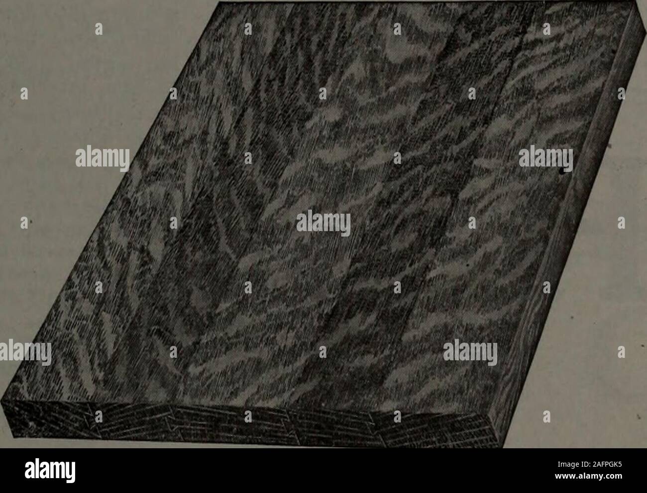 . Canadian forest industries January-June 1914. j^OT only will the ...