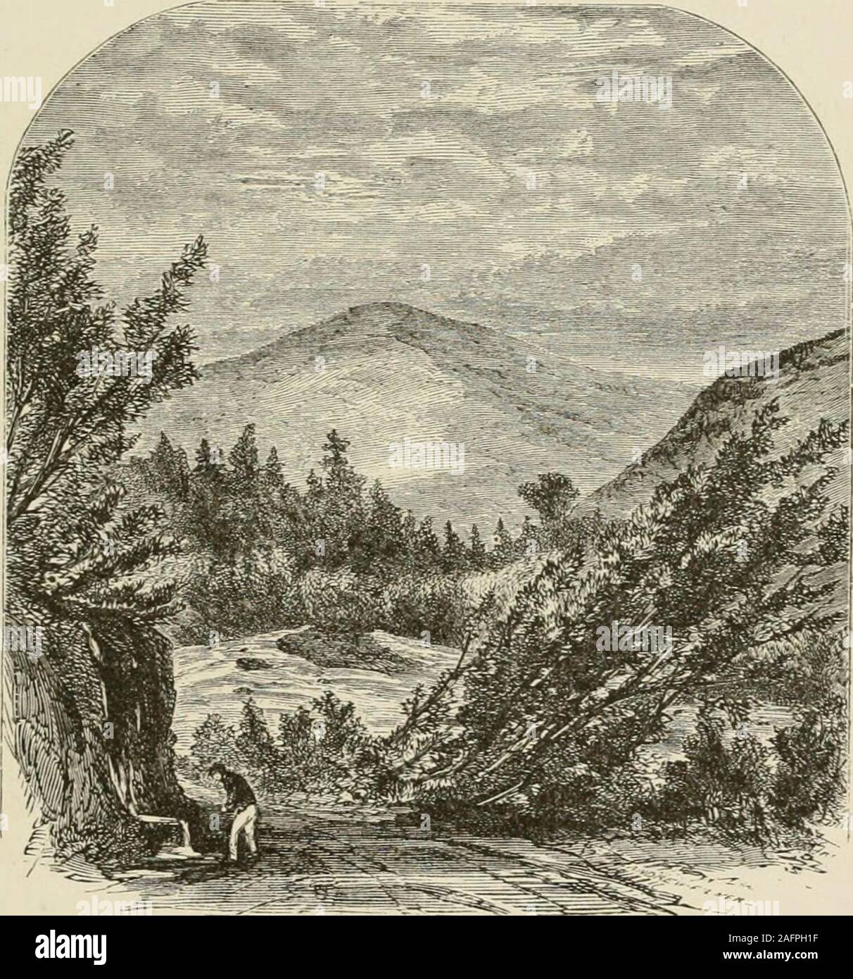 . The White hills; their legends, landscape, and poetry. the Peabody ...