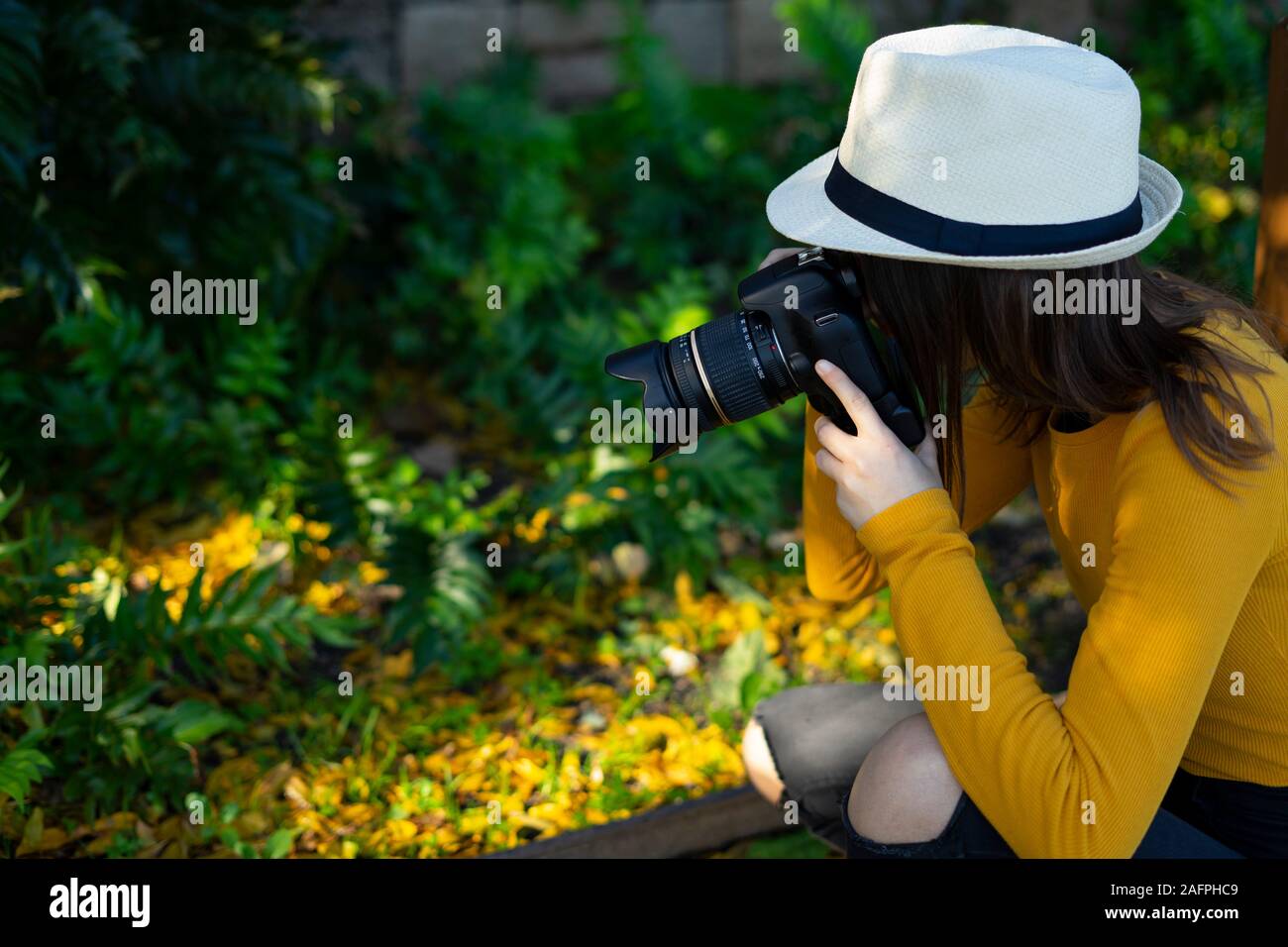 Woman photographer dressed in yellow photographing yellow tree leaves ...