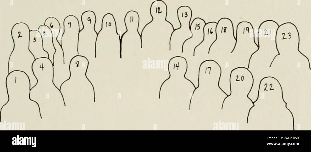 Tyler warren hi-res stock photography and images - Alamy