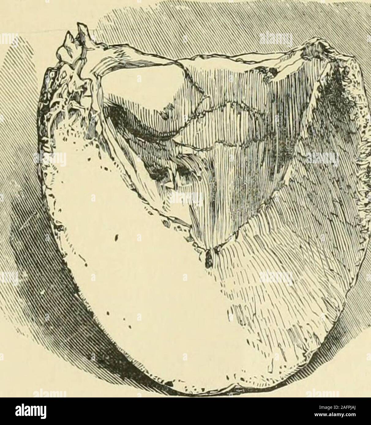 The bran tub hi-res stock photography and images - Alamy