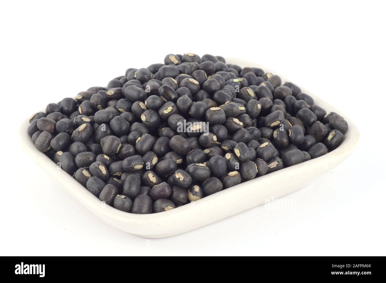 Urad Dal Plant