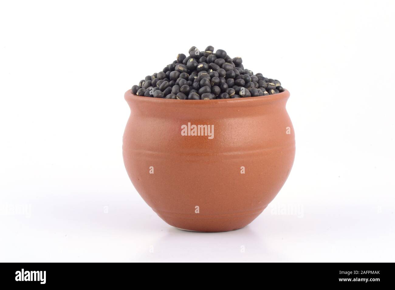 Vigna mungo farm hi-res stock photography and images - Alamy