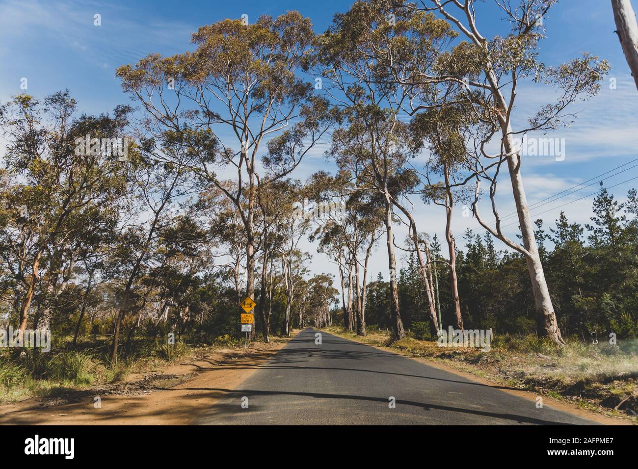 Australian countryside road trip view from the car with empty road and ...