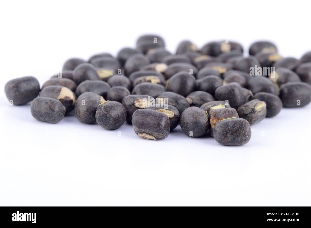 Vigna Mungo Farm High Resolution Stock Photography and Images - Alamy