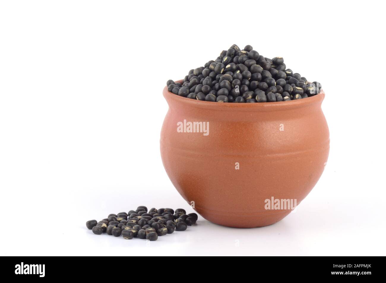 Vigna mungo farm hi-res stock photography and images - Alamy