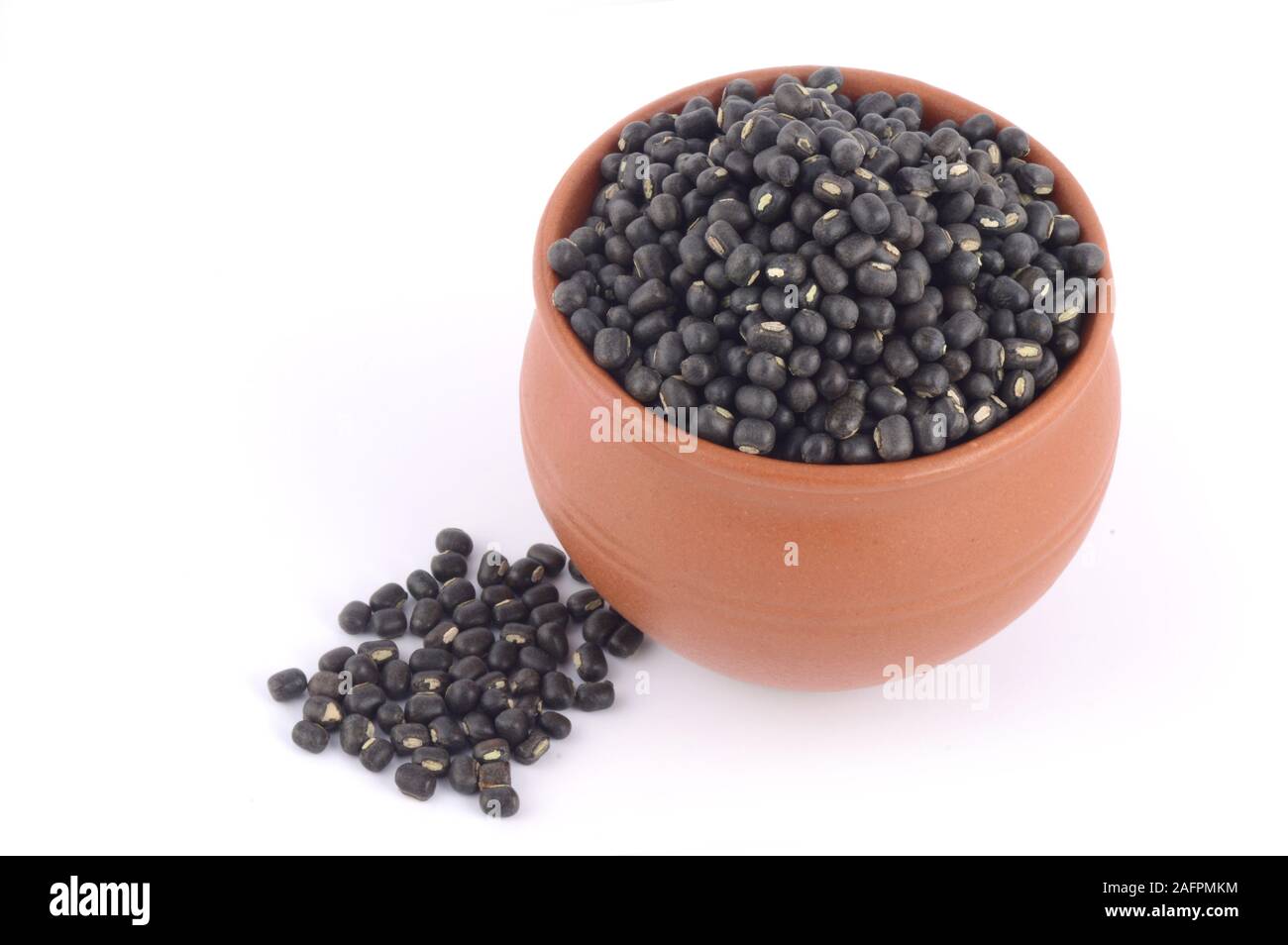 Vigna mungo farm hi-res stock photography and images - Alamy