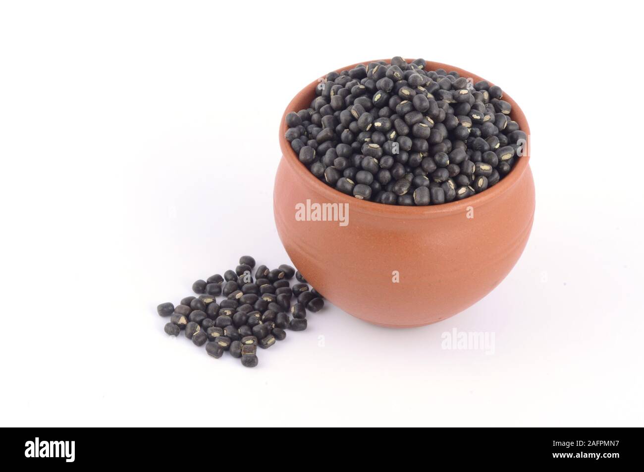 Vigna mungo farm hi-res stock photography and images - Alamy