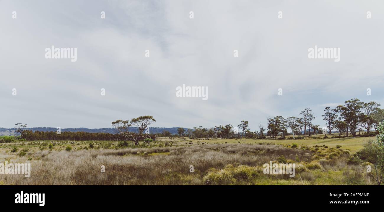 Australian countryside landscape as viewed from the car during a road ...