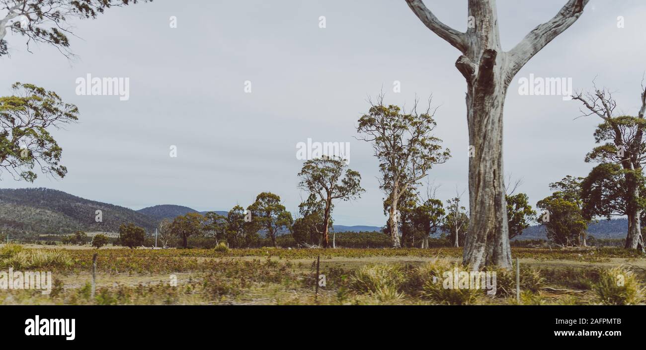 Australian countryside landscape as viewed from the car during a road ...