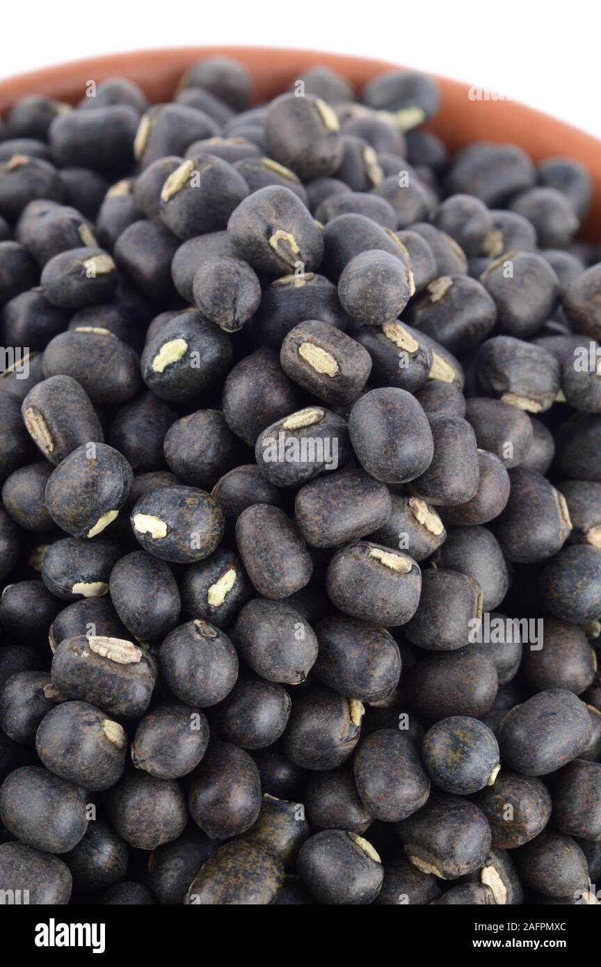 Vigna Mungo Farm High Resolution Stock Photography and Images - Alamy