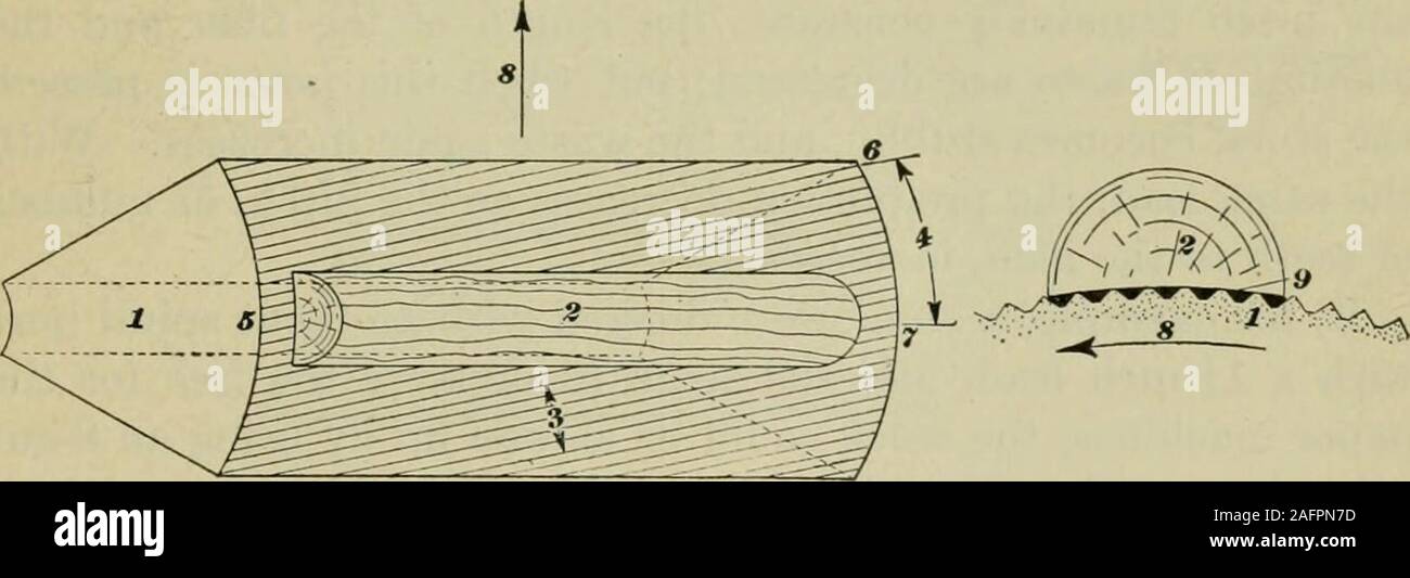. The manufacture of pulp and paper : a textbook of modern pulp and ...