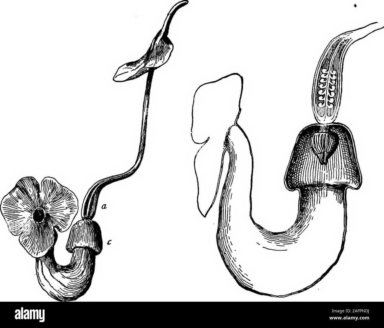 204 205 Cut Out Stock Images & Pictures - Alamy