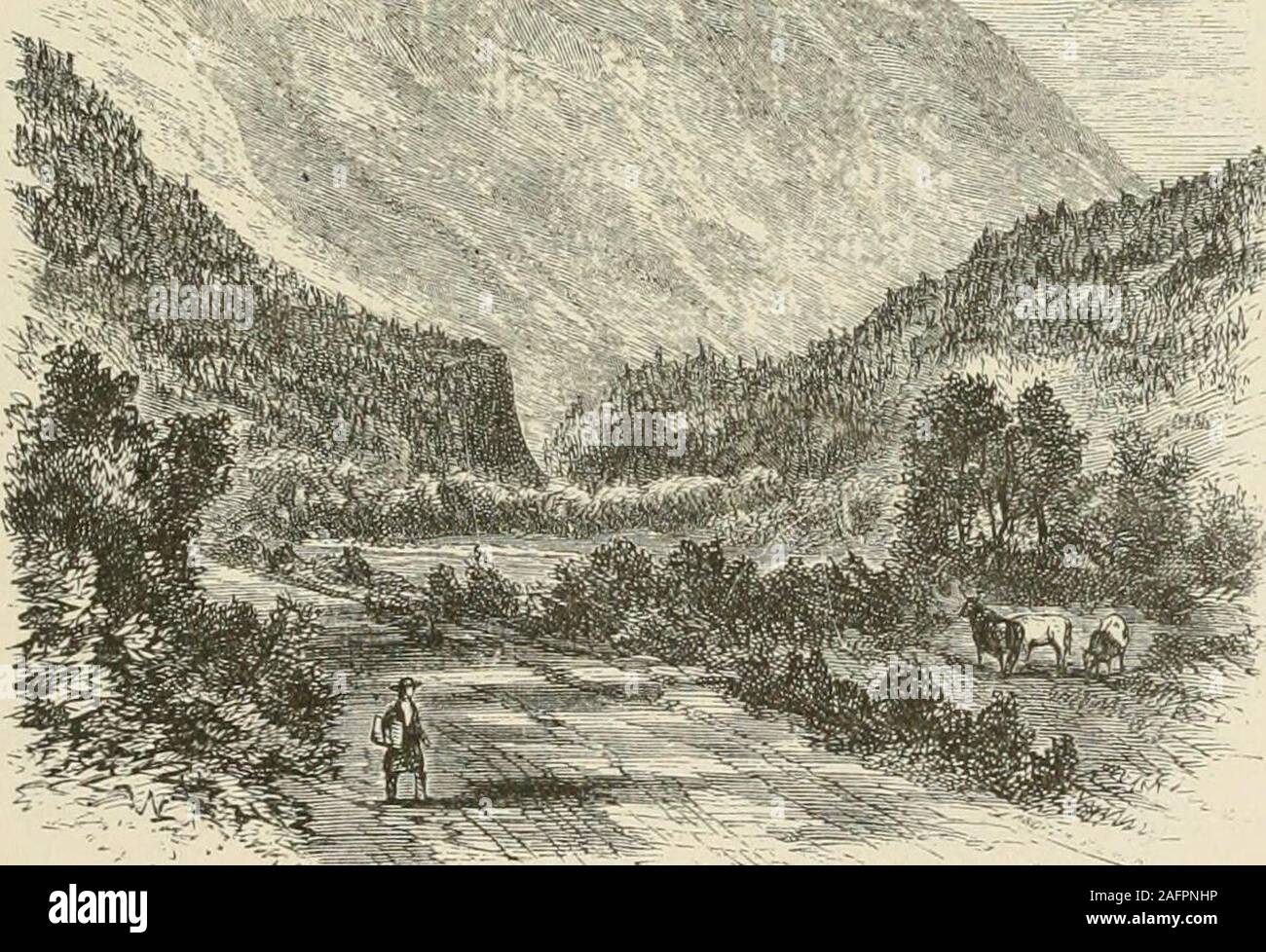 . The White hills; their legends, landscape, and poetry. the Crawford ...