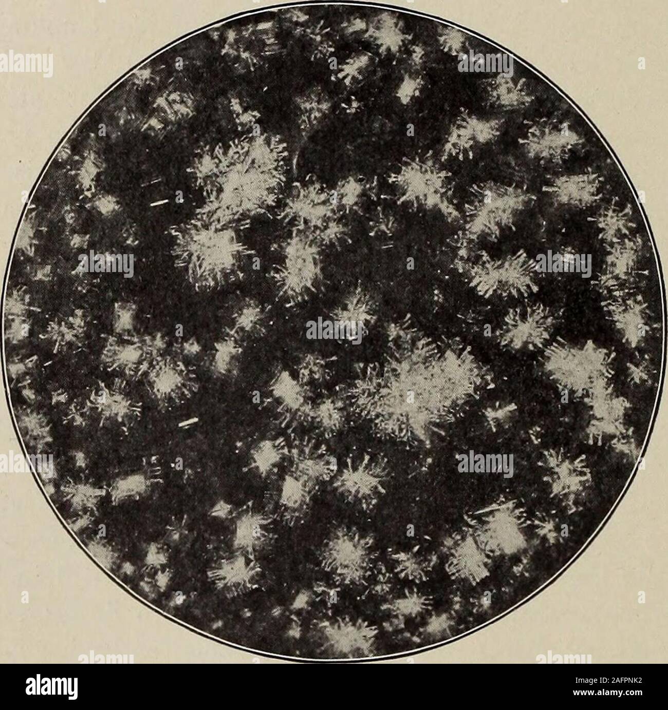 Metastable hi-res stock photography and images - Alamy