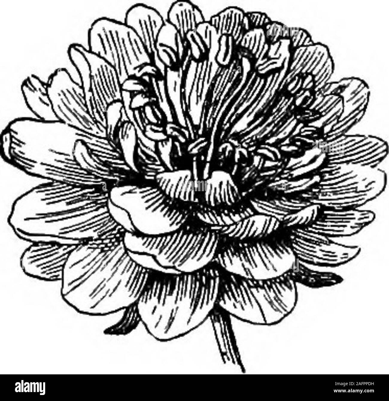 Less vegetation Cut Out Stock Images & Pictures - Alamy