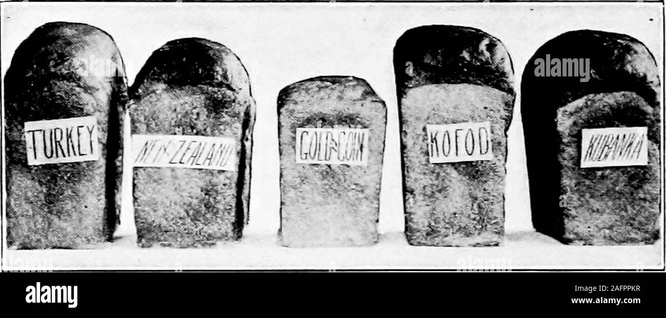 Bolting mill hi-res stock photography and images - Alamy