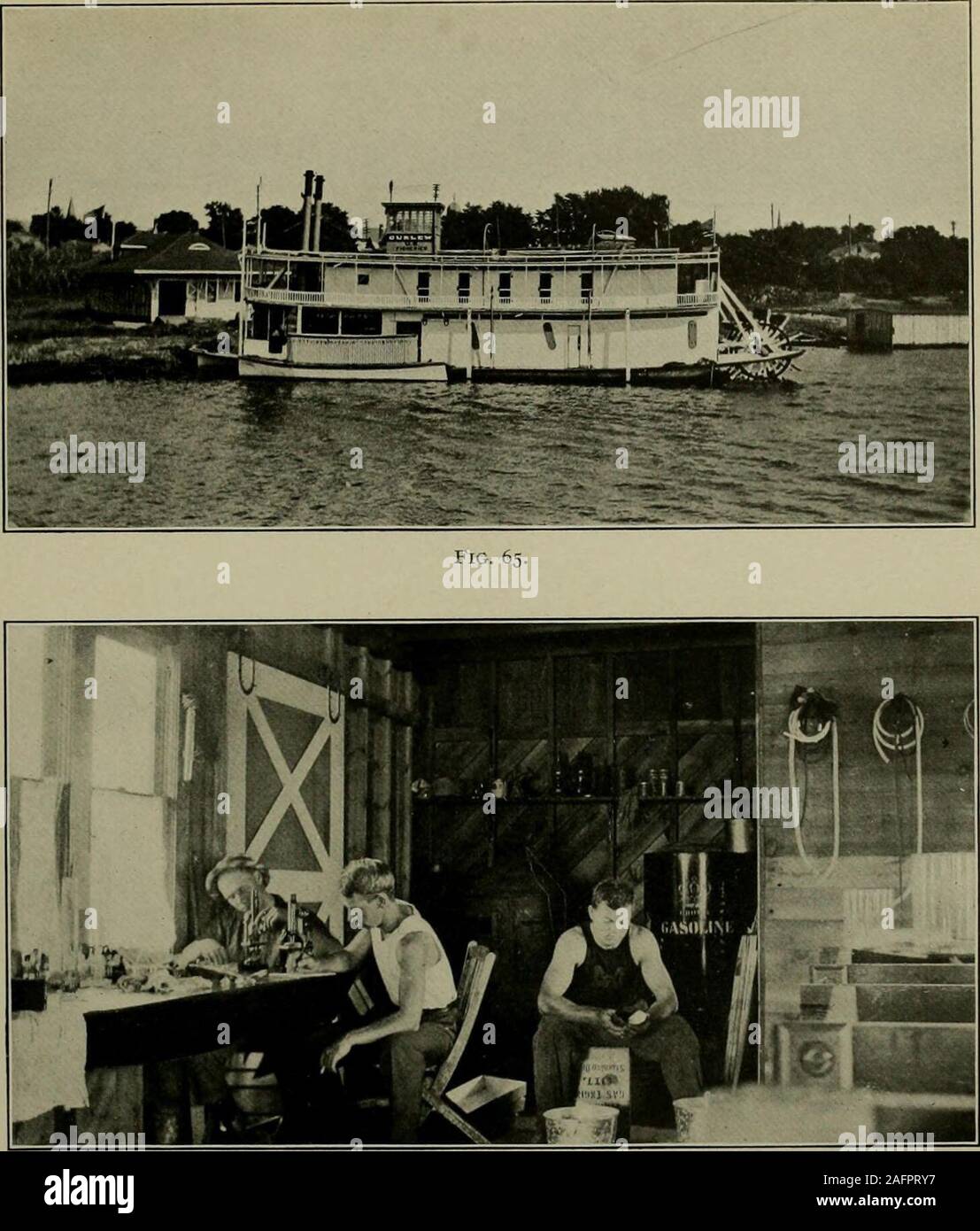 . Studies on the reproduction and artificial propagation of fresh-water ...