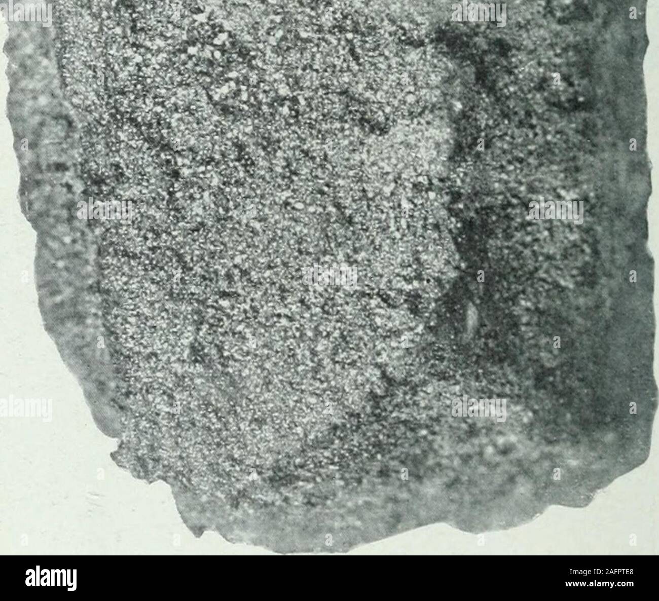 . Transactions. Fig. 18.—Low No. 2 Iron avith Tendency to Spot. EFFECT ...