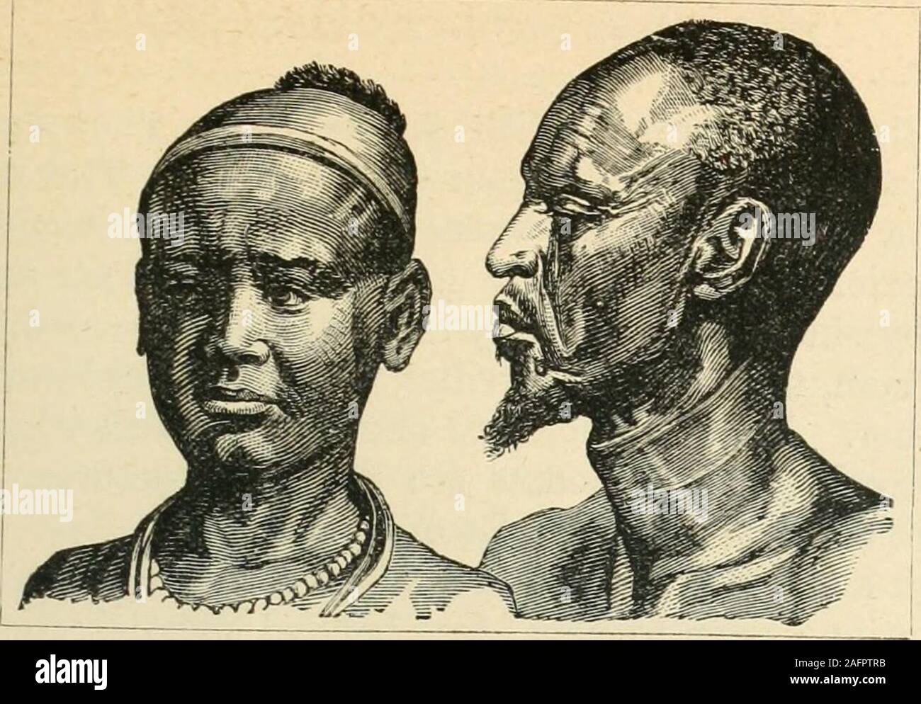 Harari language hi-res stock photography and images - Alamy