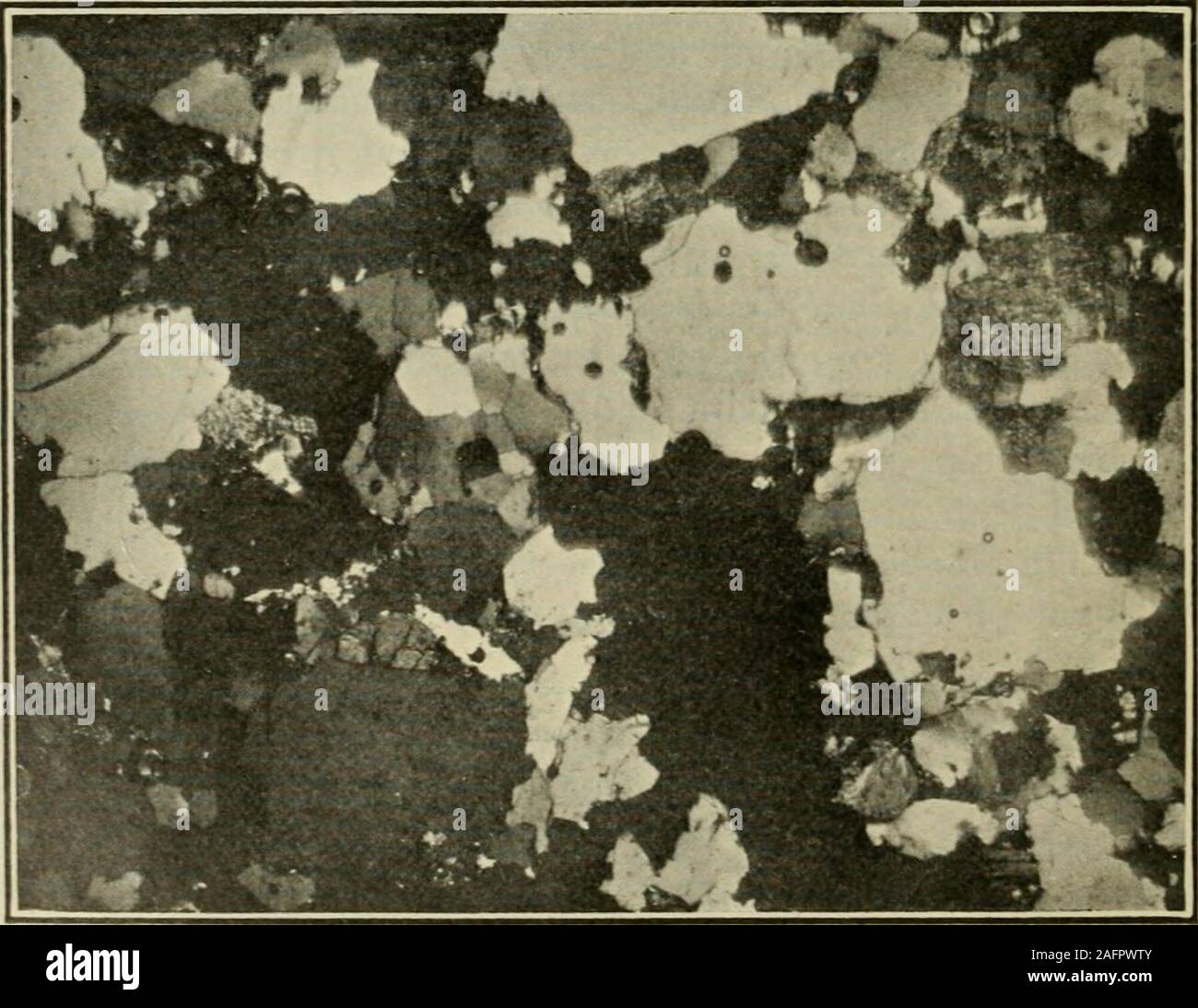 Pulpstone hi-res stock photography and images - Alamy