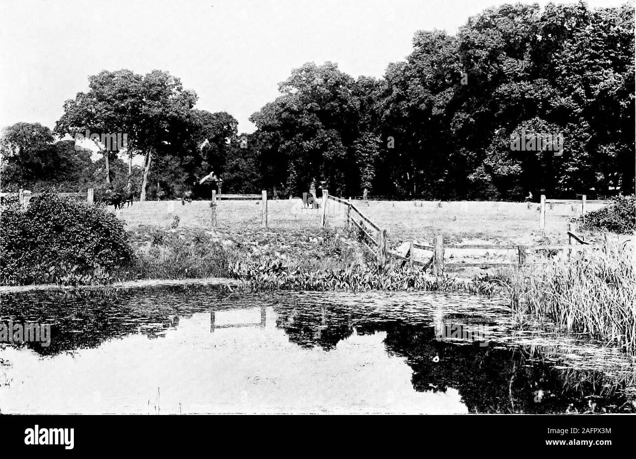 . Letchworth Garden City in fifty-five pictures. 58. A PASTORAL SCENE ...